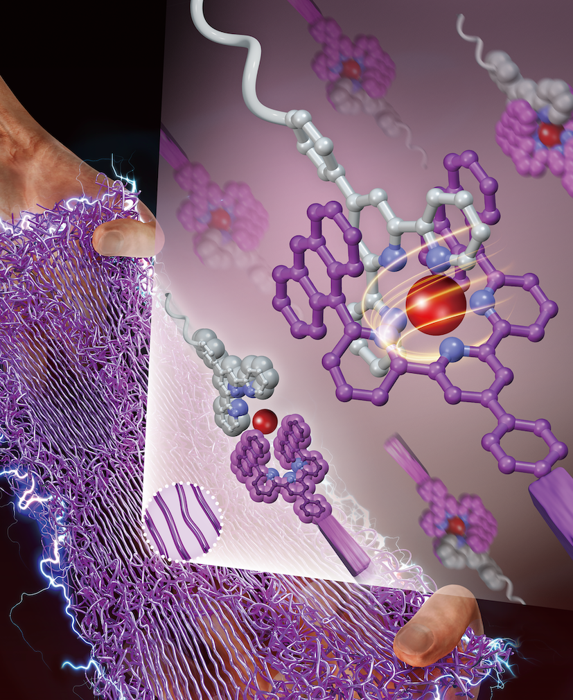 YI-TSU CHAN LABORATORY
